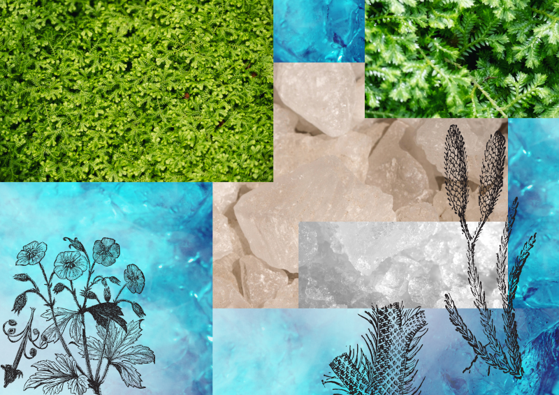 Natural Dyeing course Module 2 Mordanting, Part 1 - Alum – AppleOak ...