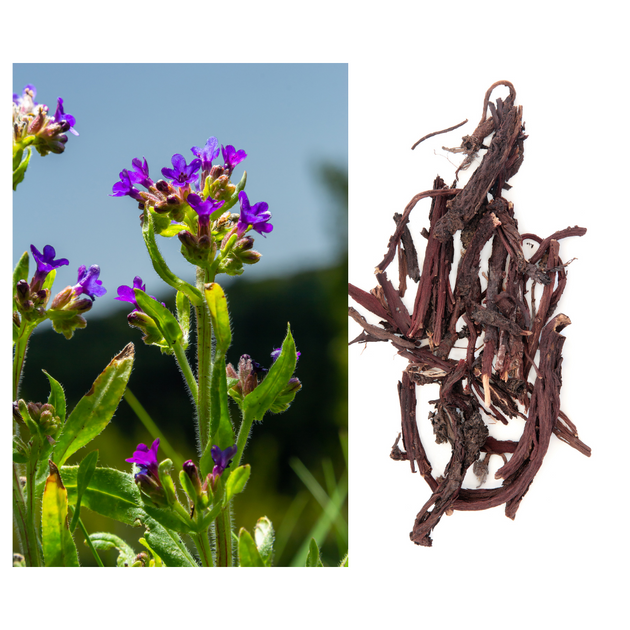 ALKANET DYE – AppleOak FibreWorks